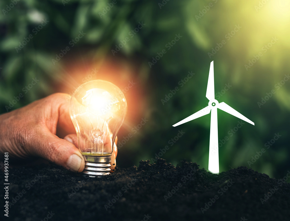 Light bulb is located on the soil, and plant are growing with wind ...