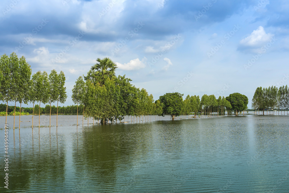 Scenic view of traditional flooded fields like a still lake on floating ...