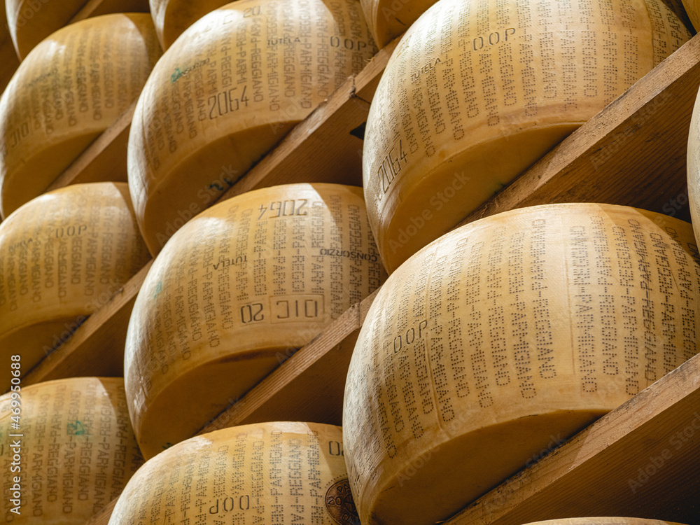 parmesan Parmigiano Reggiano cheese wheel maturing in the dairy farm ...