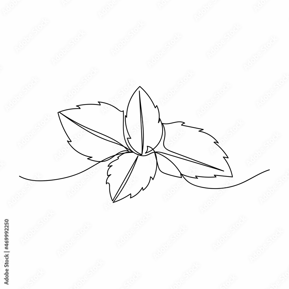 Vector continuous one single line drawing icon of fresh garden mint ...