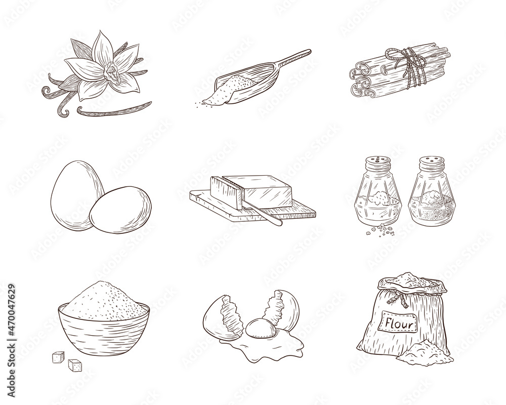Cooking Ingredients Engraved Illustrations Set. Collection of hand ...