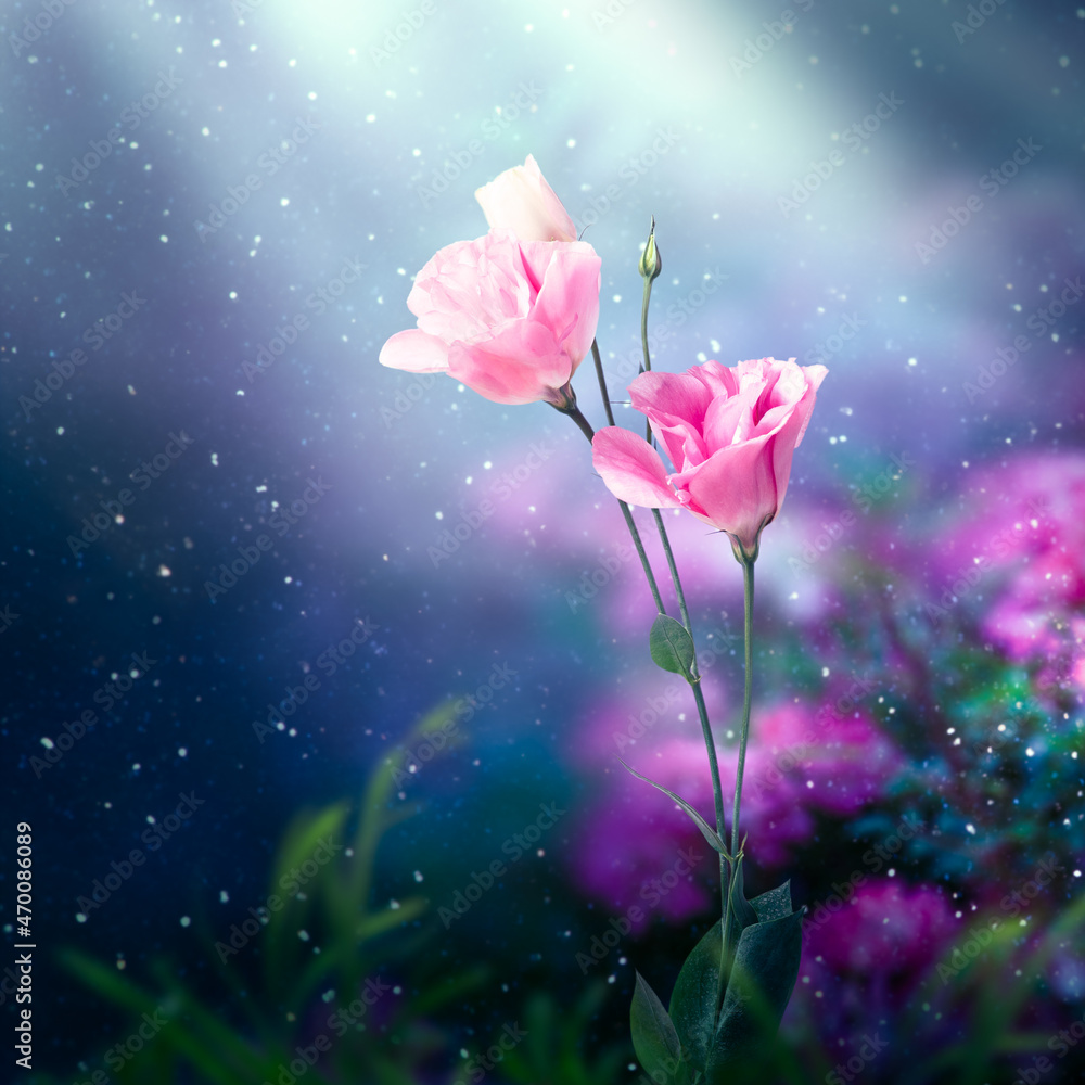 Fantasy Eustoma flowers garden in enchanted fairy tale dreamy elf forest with fabulous fairytale ...