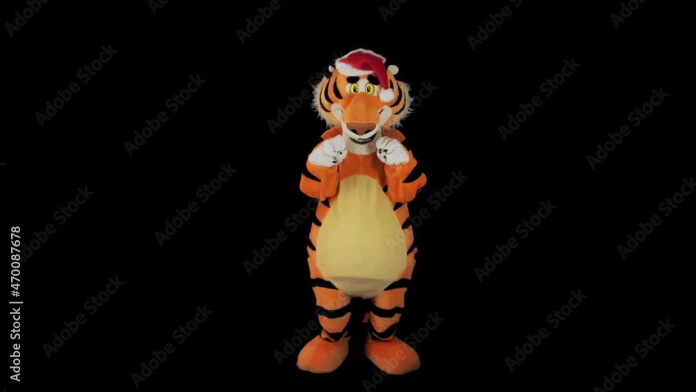 Man in tiger costume with santa's red hat showing roars on a black ...