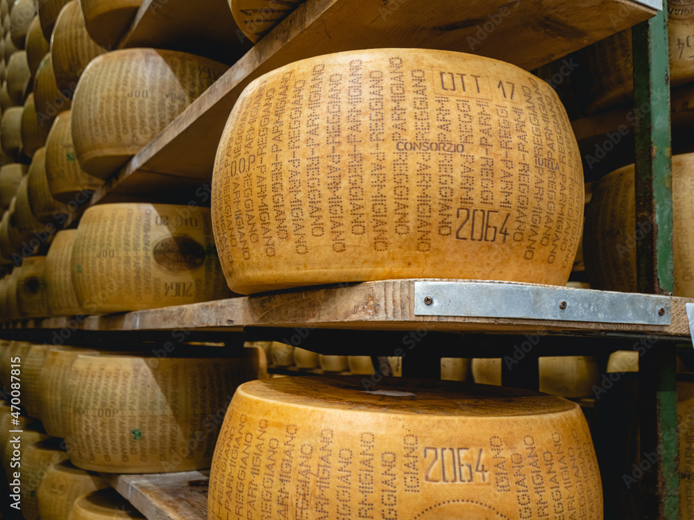 wheels of certified parmesan parmigiano reggiano hard organic cheese ...