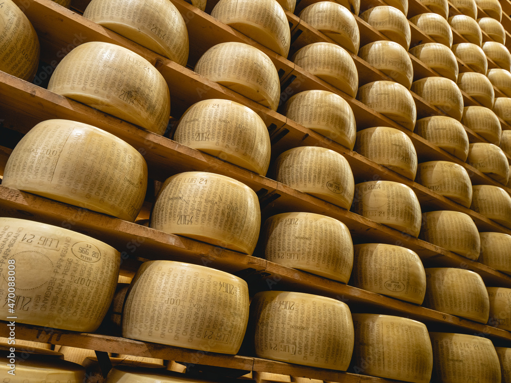 wheels of certified parmesan parmigiano reggiano hard organic cheese ...