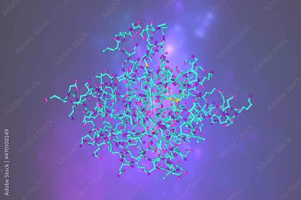 Molecular model of anticalin-colchicine complex. Anticalins are ...