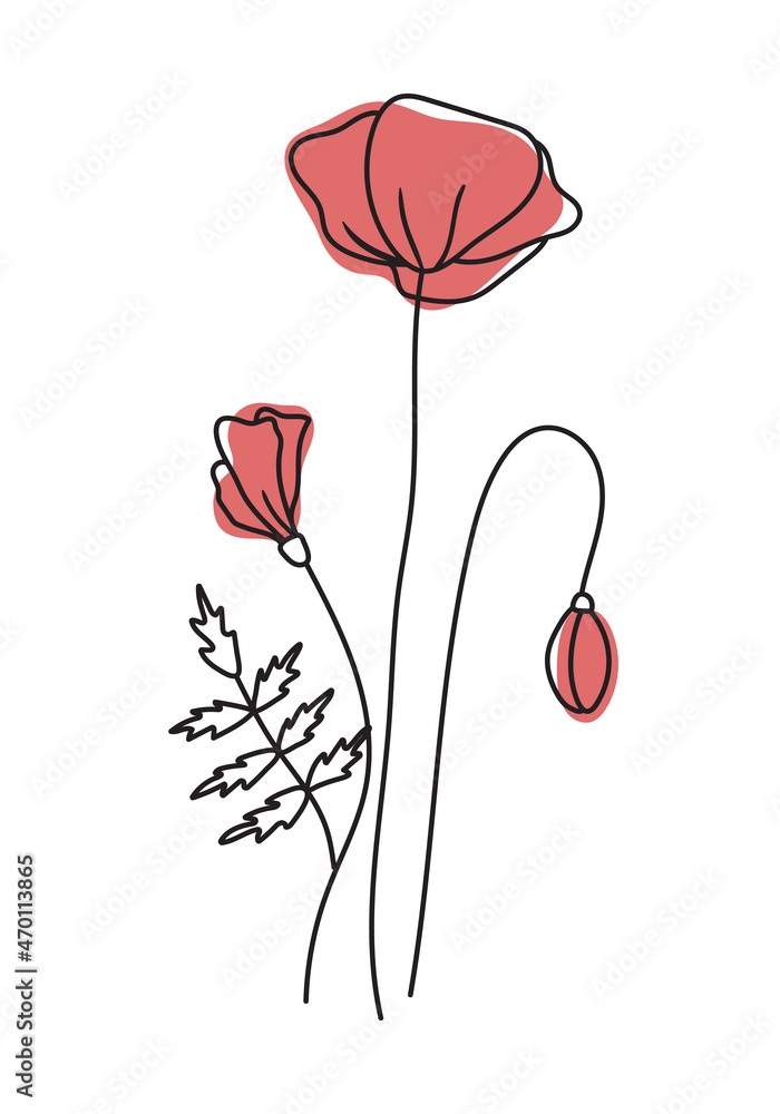 Line art poppy flower with red color shape. Hand drawn botanical vector ...