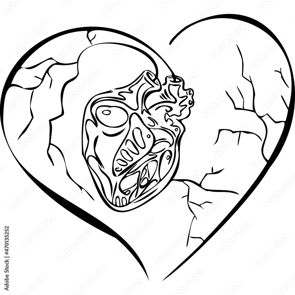 Real heart in the figure drawn sketch vector illustration Stock Vector ...