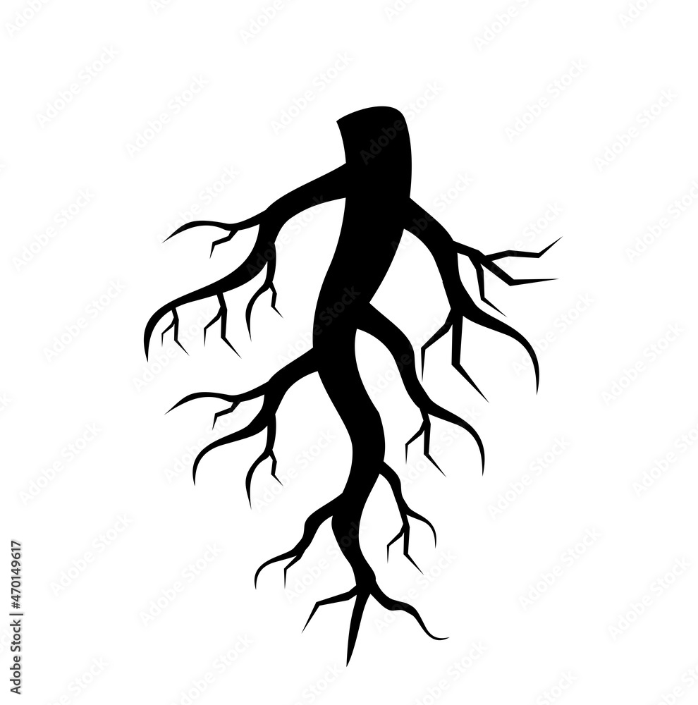 Tree Roots Vector Png
