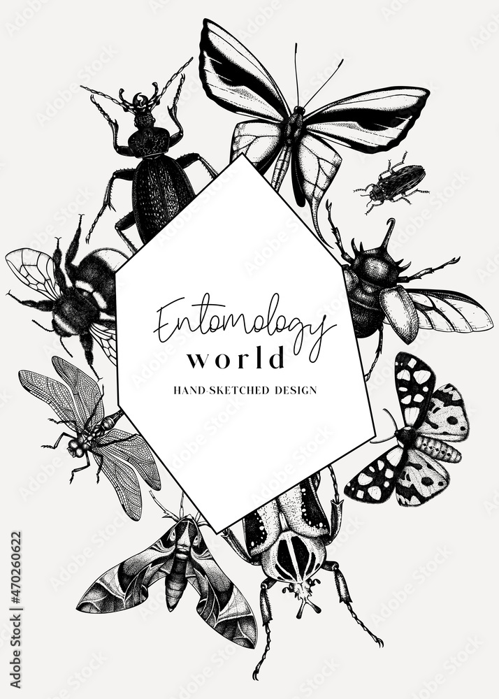 Hand-sketched insect wreath template. Hand drawn beetles, bugs ...