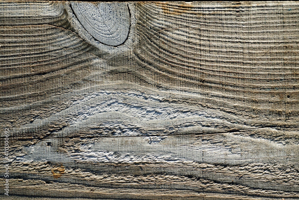 Embossed wood texture in the open air. Bitches and fibers. Growth rings ...
