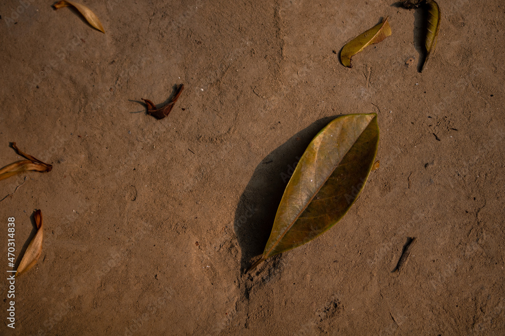 paper texture with leaves Stock Photo | Adobe Stock