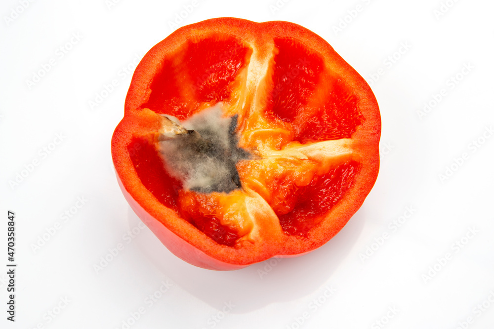 fungal mold on red sweet pepper. food vitamin vegetables and storage of ...