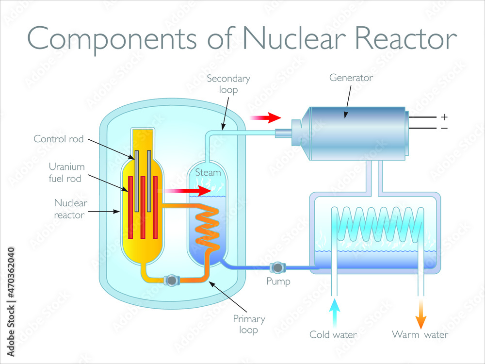 Components of Nuclear Reactor - The energy released from the Uranium ...