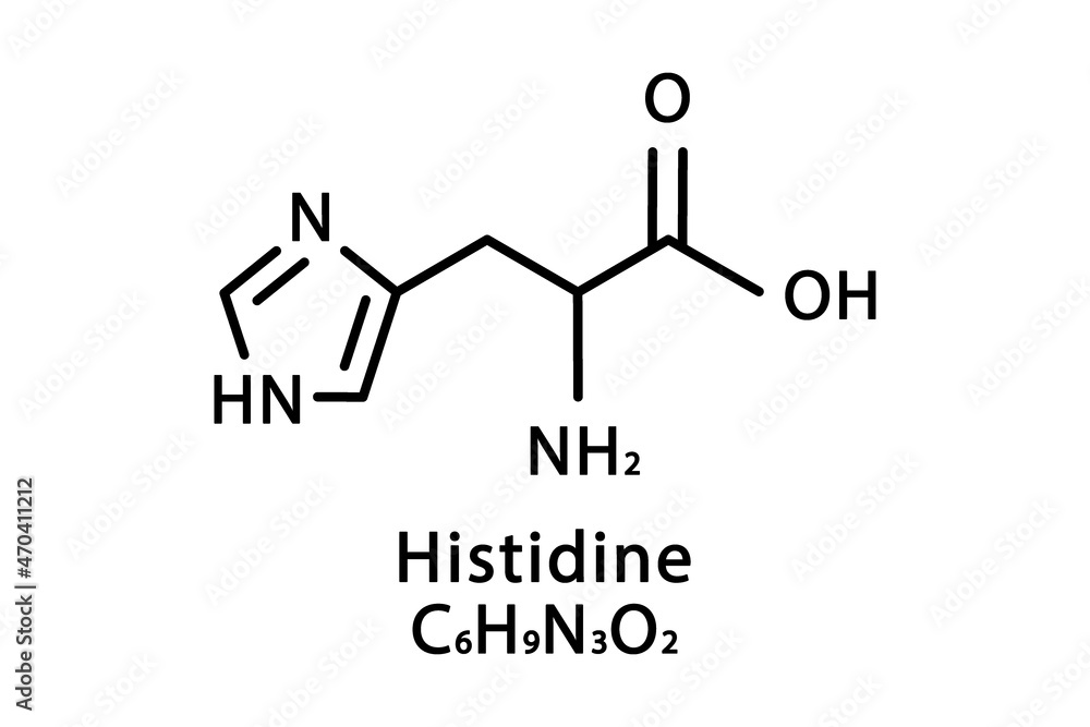 Histidine molecular structure. Histidine skeletal chemical formula ...