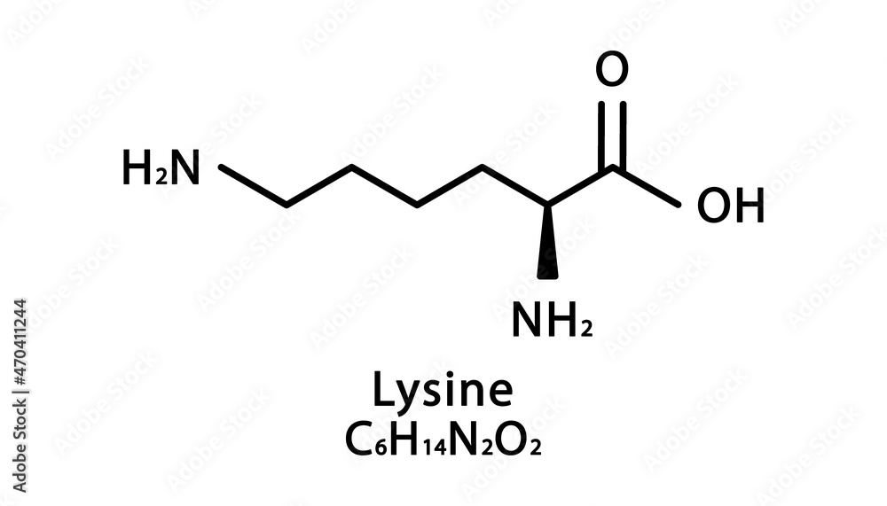 Lysine molecular structure. Lysine skeletal chemical formula. Chemical ...