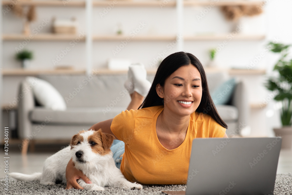 Cute dog chilling by its female owner using laptop Stock Photo | Adobe ...