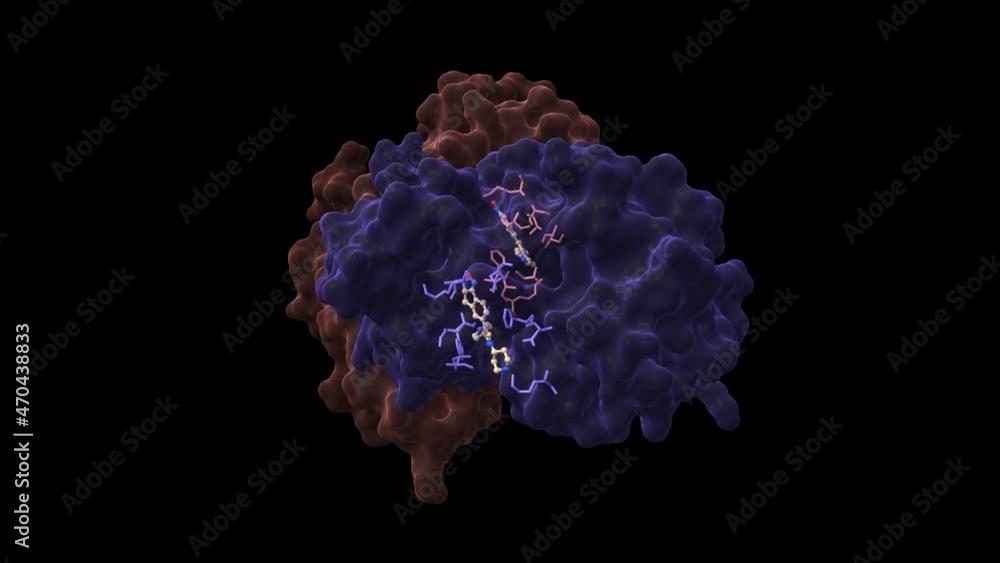 Crystal structure of c-raf (raf-1), a mitogen-activated protein kinase ...