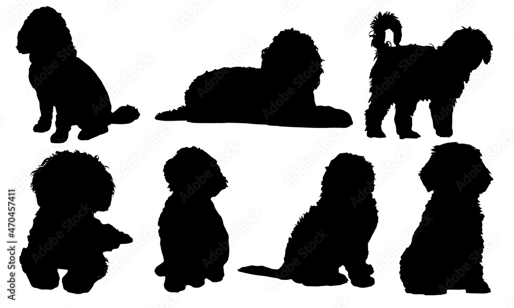 Cockapoo Silhouettes SVG Cocker Spaniel SVG Stock Vector | Adobe Stock
