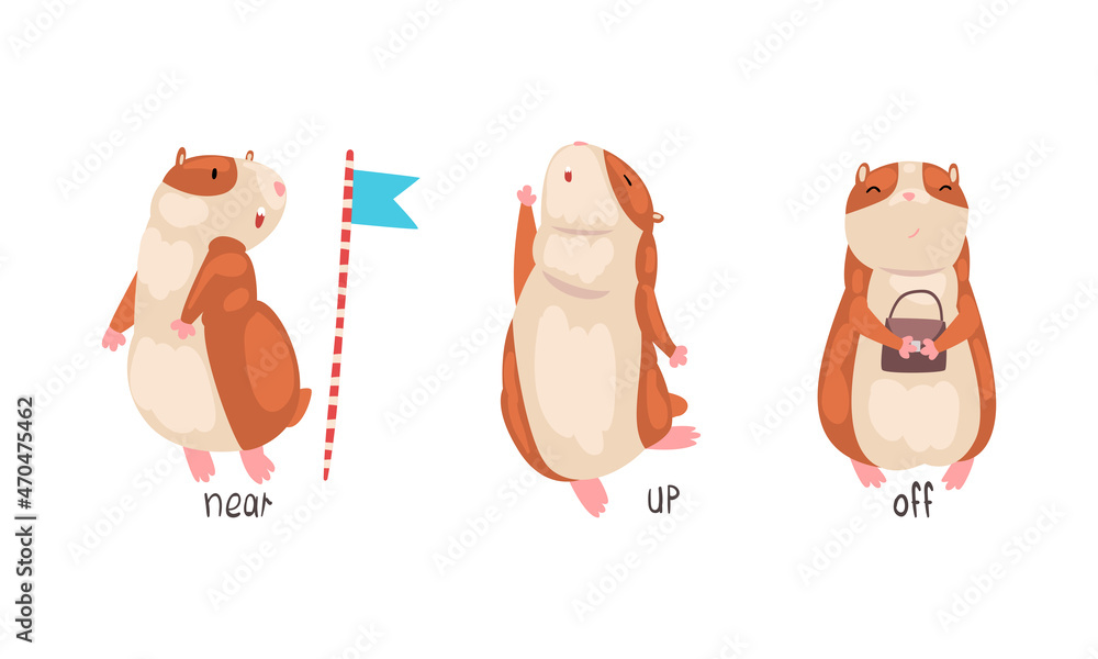 Cute Hamster Demonstrating English Language Preposition Word Vector Set ...