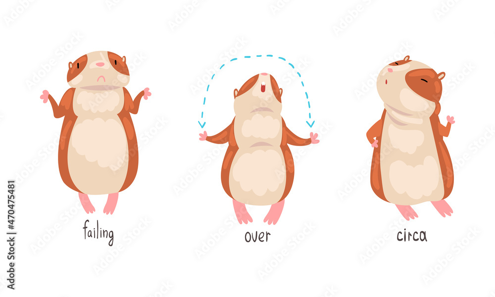 Cute Hamster Demonstrating English Language Preposition Word Vector Set ...
