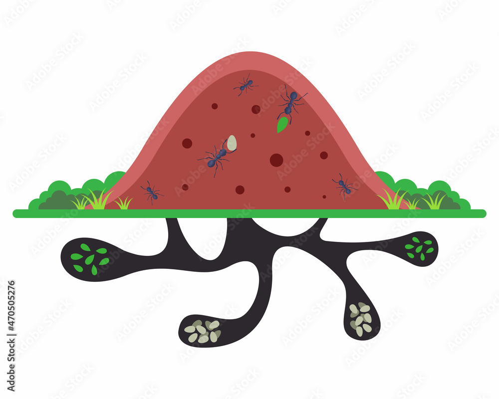 large anthill in the forest. underground passages with ants. flat ...
