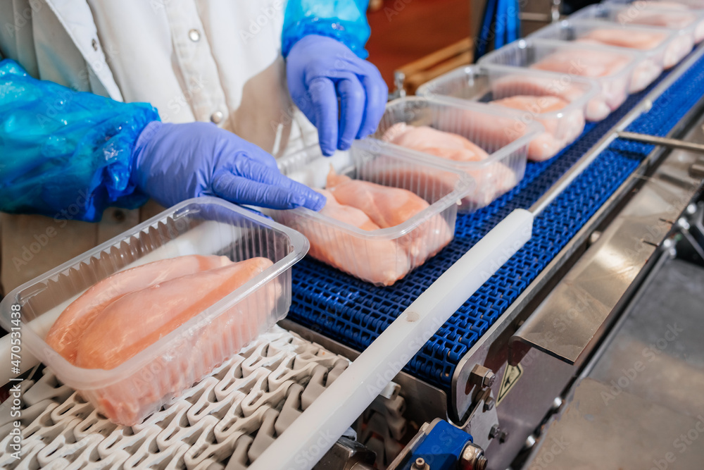 People working at a Chicken fillet production line.Group of workers ...