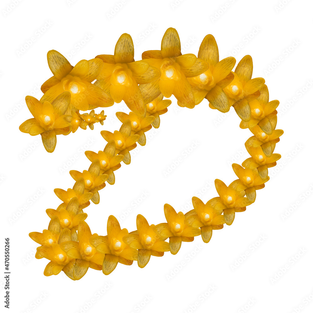 Letra D hecha con flor amarilla de un tipo de suculenta Stock Photo ...