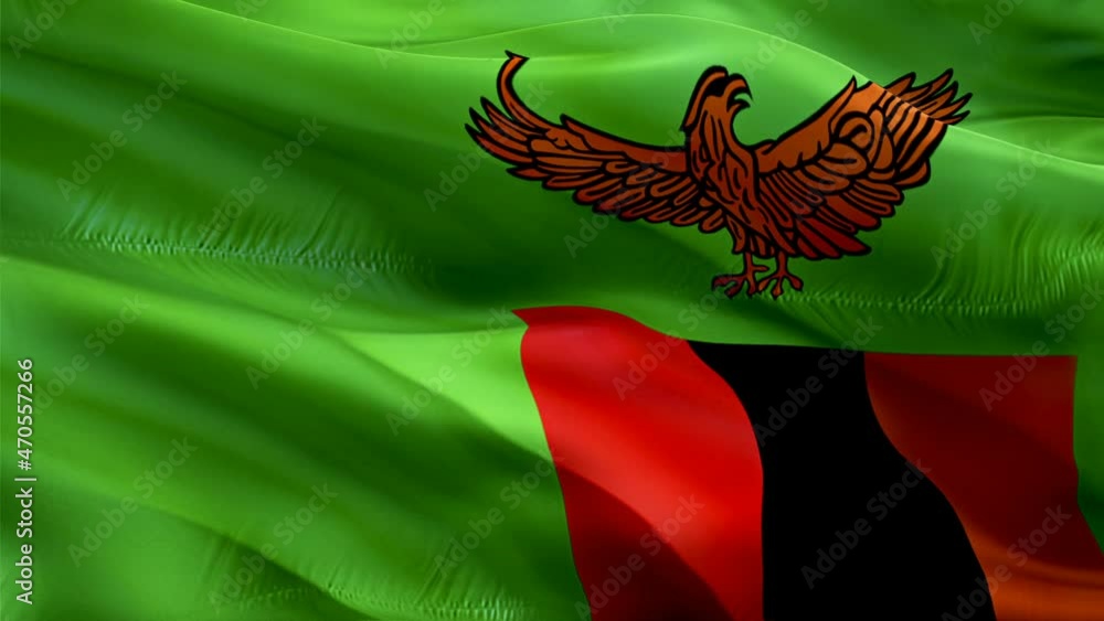 Zambian flag. 3d Zambia flag waving video. Sign of Zambia seamless loop ...