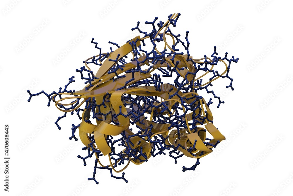 Crystal structure and molecular model of anticalin-colchicine complex ...
