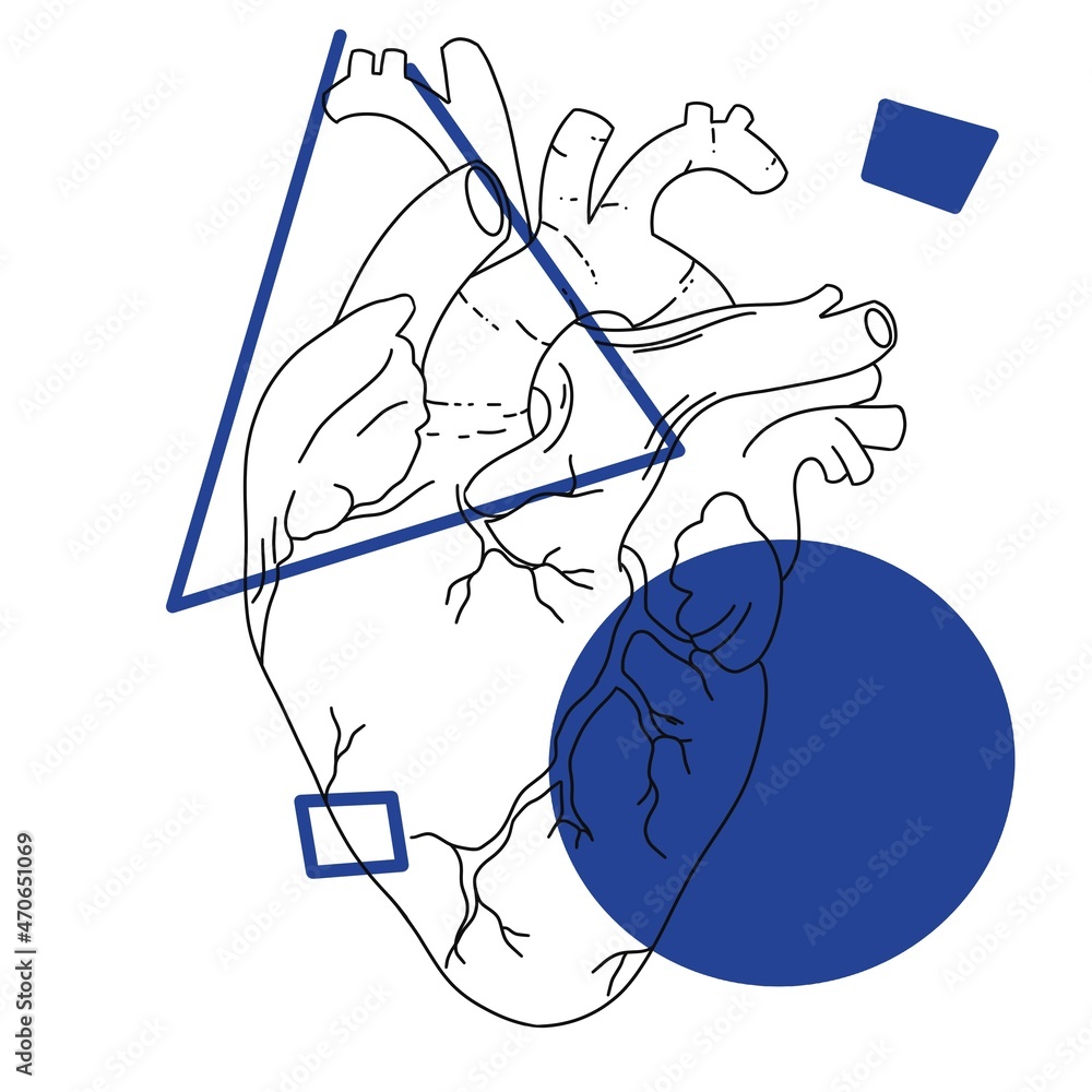 heart illustration, heart, heart drawing, line art, heart line art ...