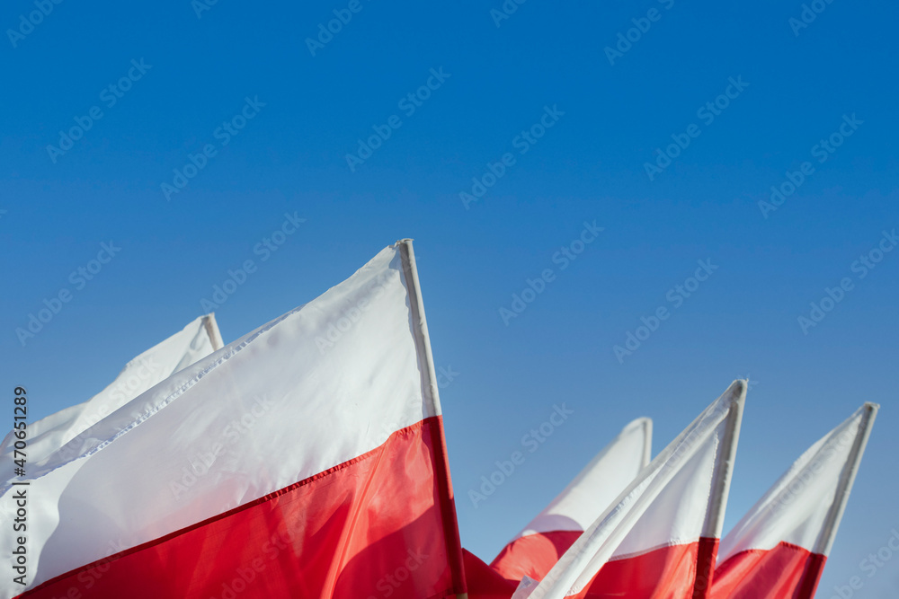 A group of red and white flags of the Polish state flutter in the wind ...