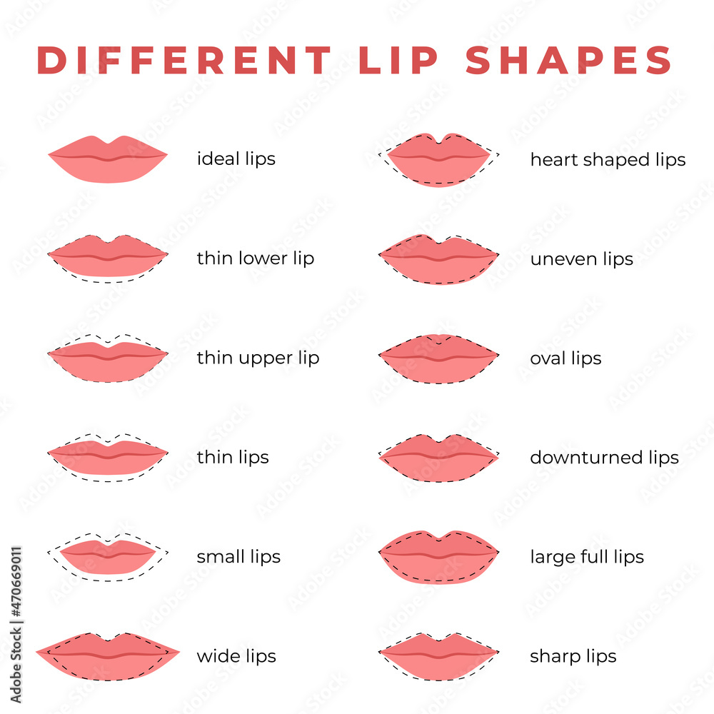 Set Of Different Lip Shapes Stock Vector Adobe Stock Set Of Different Lip Shapes Stock Vector Adobe Stock