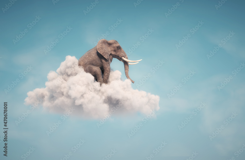 Poster Elephant sitting on a cloud in the sky – Wall Art | UkPosters