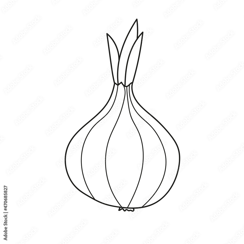 Simple coloring page. Onion - line art. Coloring book for kids ...
