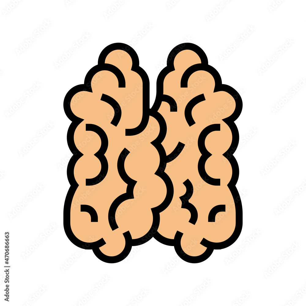 thymus of immune system color icon vector. thymus of immune system sign ...