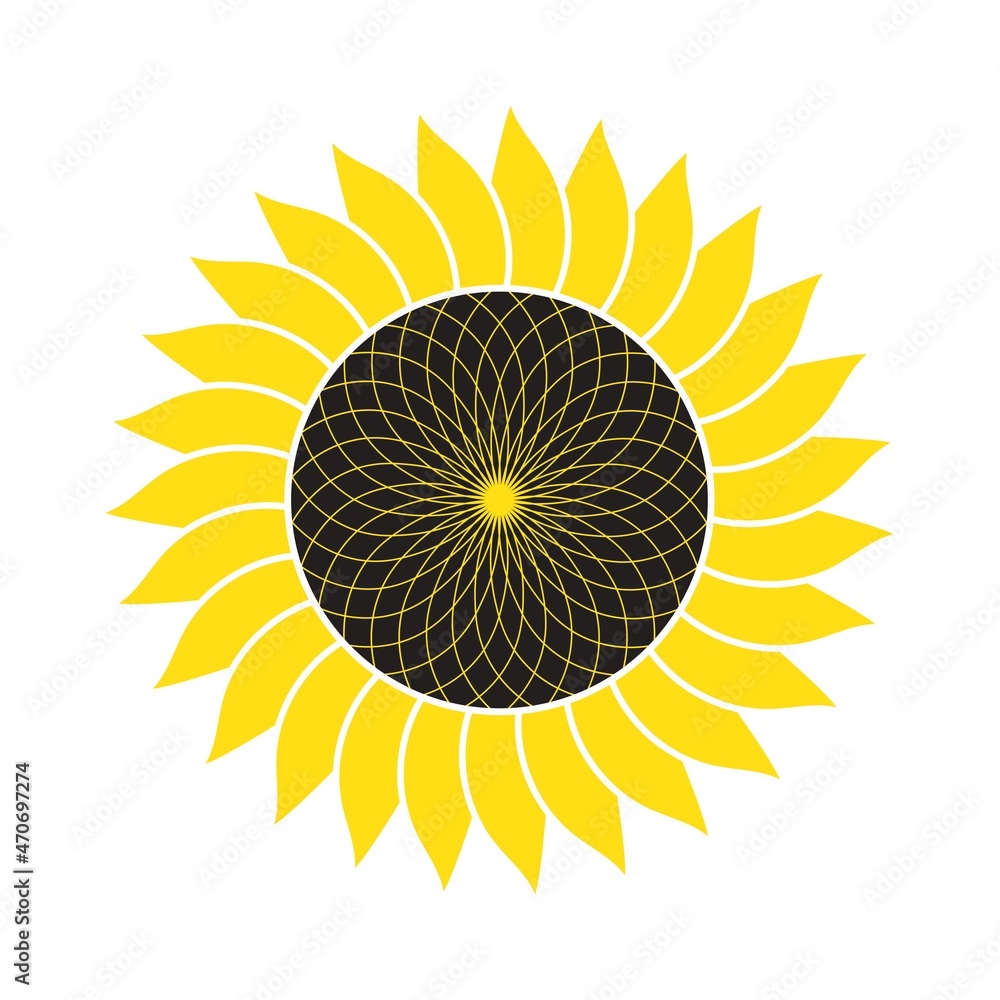 sunflower flower, yellow petals black outline isolated on white ...