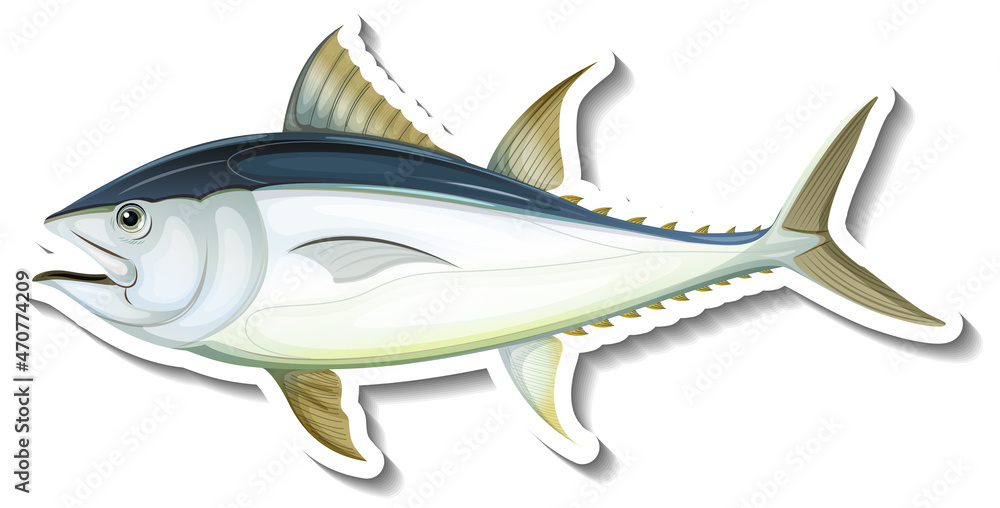 Atlantic bluefin tuna sticker on white background Stock Vector | Adobe ...