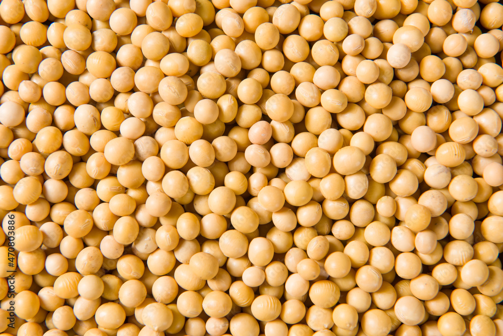 Soybean seeds grain texture background. Stock Photo | Adobe Stock