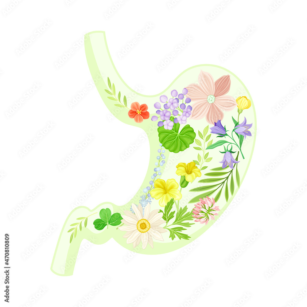 Stomach with flowers and leaves. Healthy blooming human internal organ ...