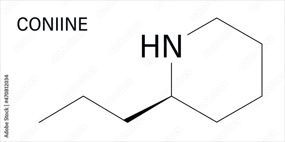 Coniine herbal toxin molecule. Present in poison hemlock (Conium ...