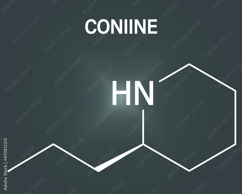Coniine herbal toxin molecule. Present in poison hemlock (Conium ...