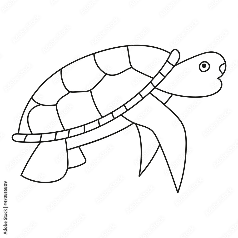 Vector line drawing of sea turtle. Single line art concept of aquatic ...
