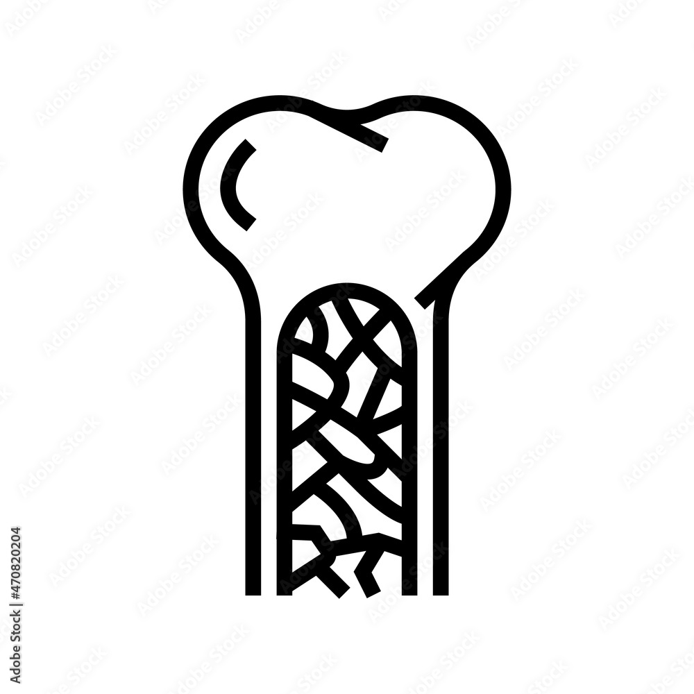 bone marrow line icon vector. bone marrow sign. isolated contour symbol ...