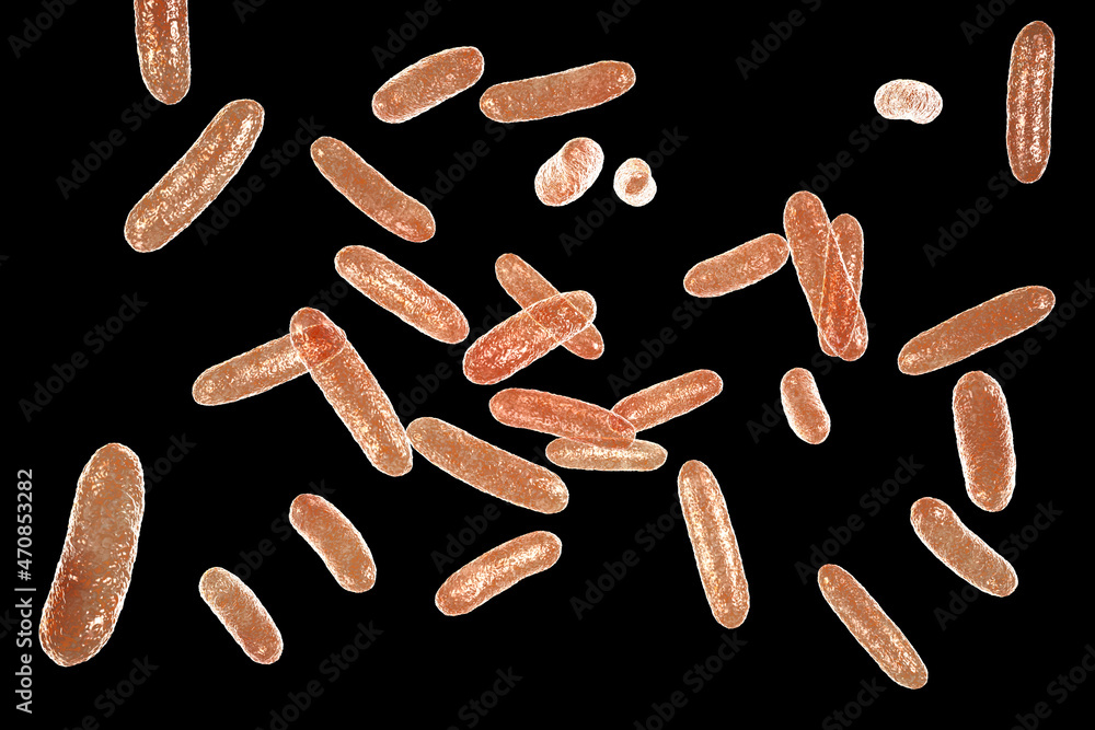 Bacteria Citrobacter, Gram-negative coliform bacteria from ...