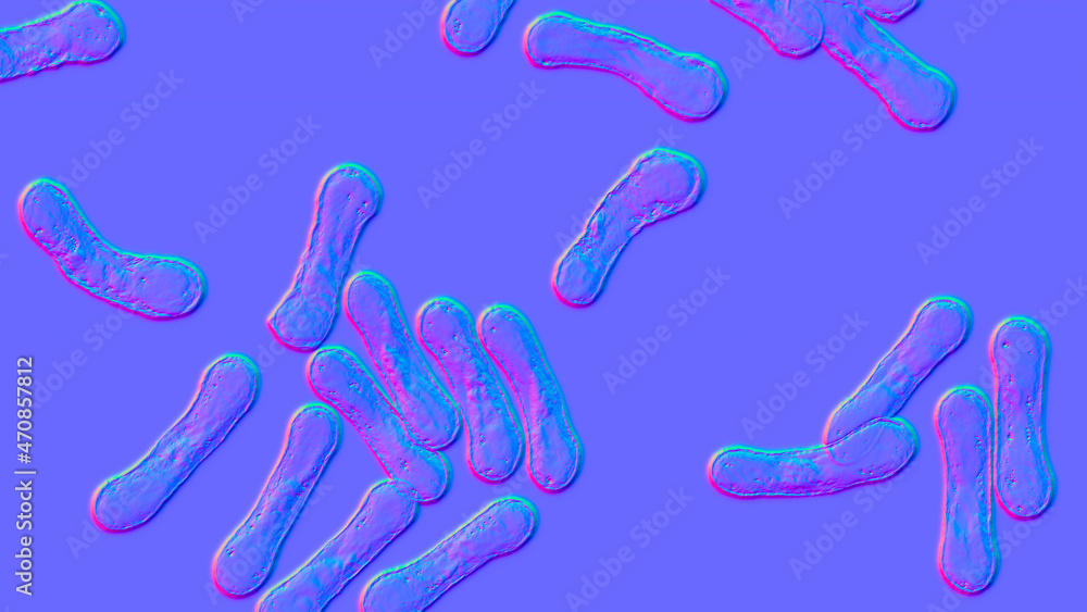 Corynebacterium bacteria, Gram-positive rod-shaped bacterium that ...