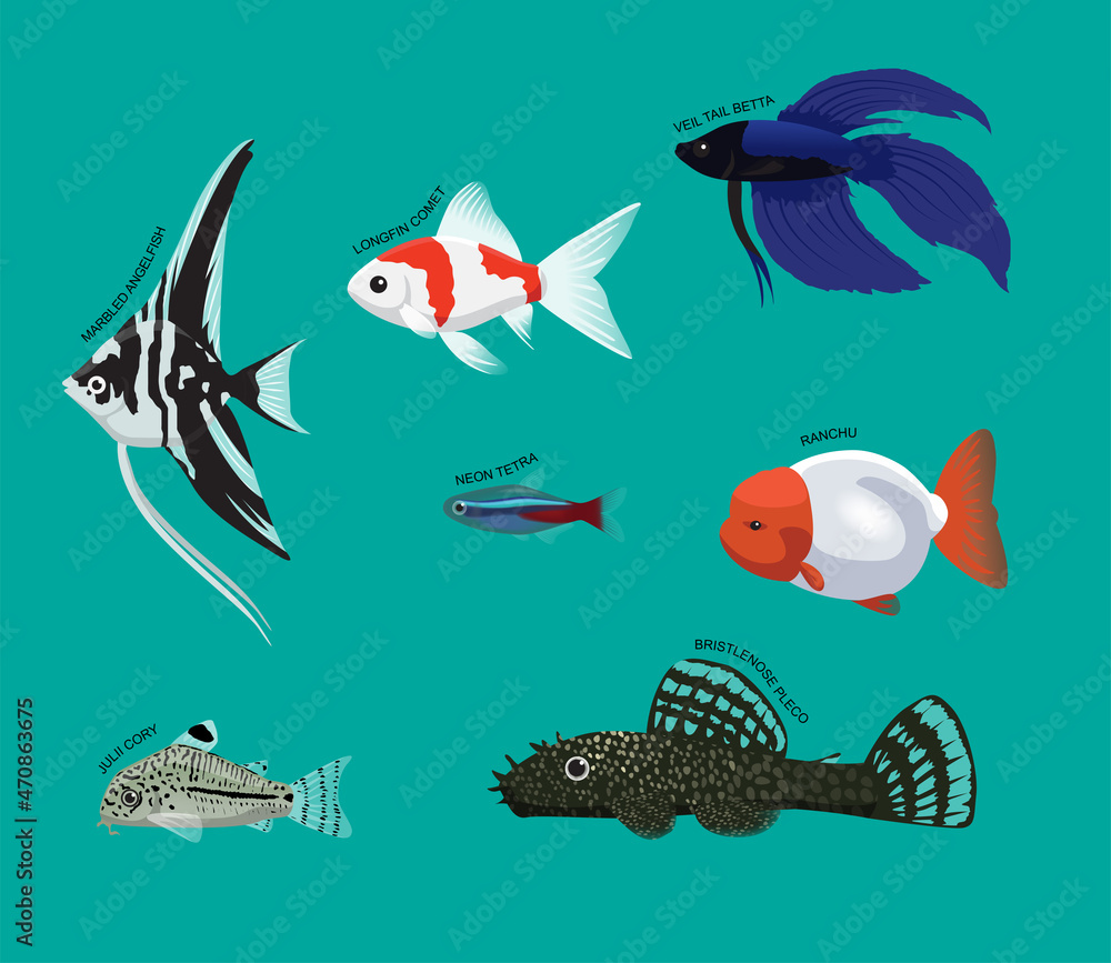 Freshwater Fish Set Various Kind Identify Cartoon Vector 1 Stock Vector ...