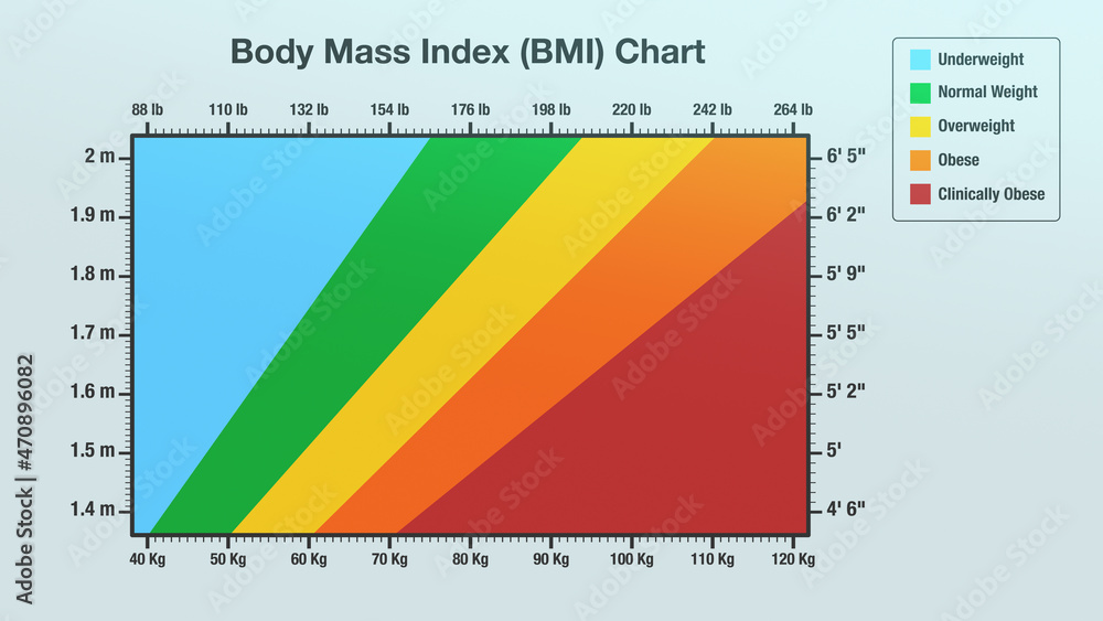Body Mass Index Chart, infographic Stock Illustration | Adobe Stock