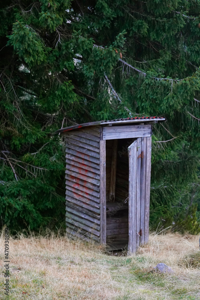 Green Country toilet in the open air. Wooden structure for outdoor ...