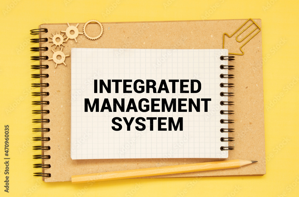 text INTEGRATED MANAGEMENT SYSTEM, business concept image with soft ...